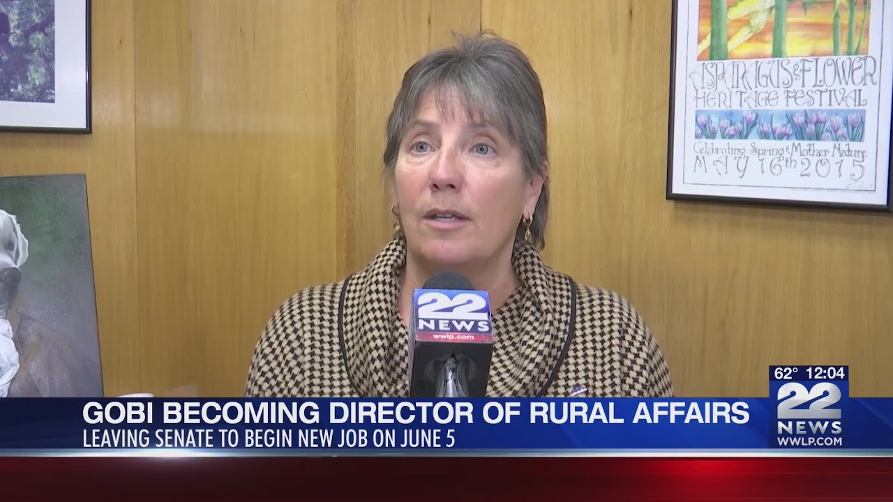 Senator Anne Gobi to become Director of Rural Affairs - YouTube