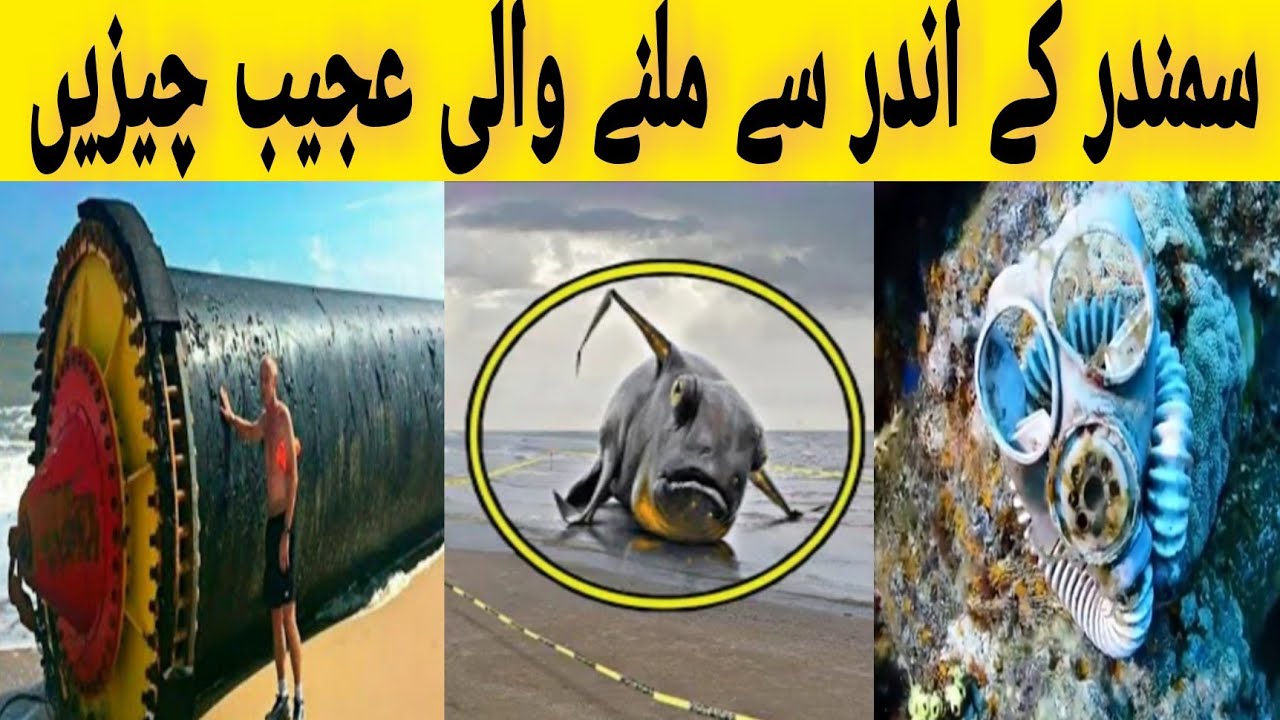 Most Unusual Things Found Underwater//Strangest Things Found Underwater ...