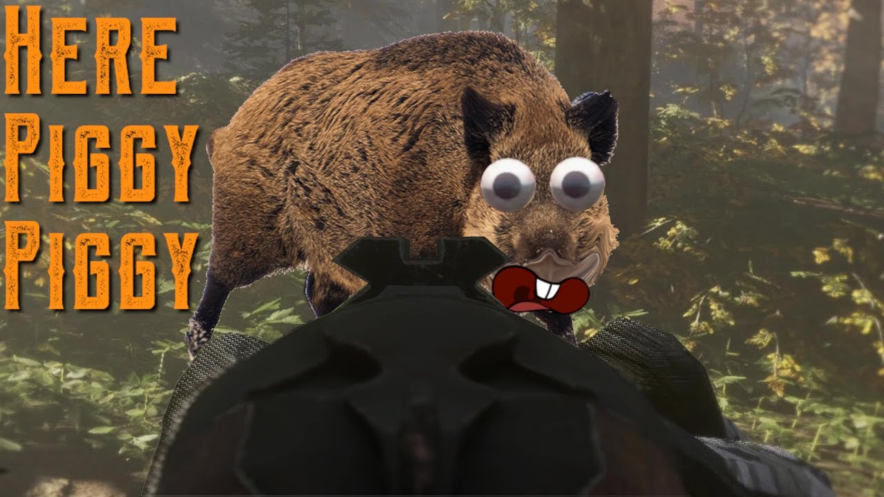 The Thanksgiving Hog - YouTube