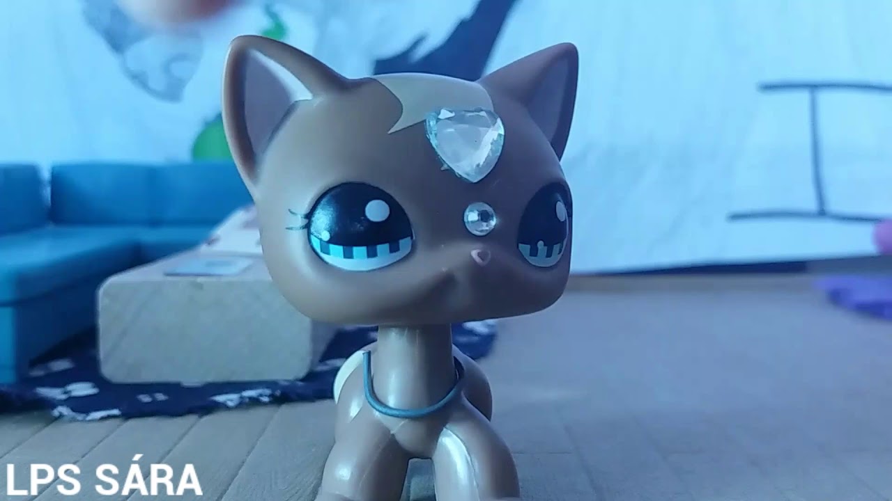 Moje sbírka LPS SHC - YouTube