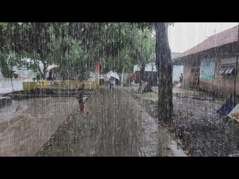 super heavy rain incessantly flooded my village, perfect for insomnia ...