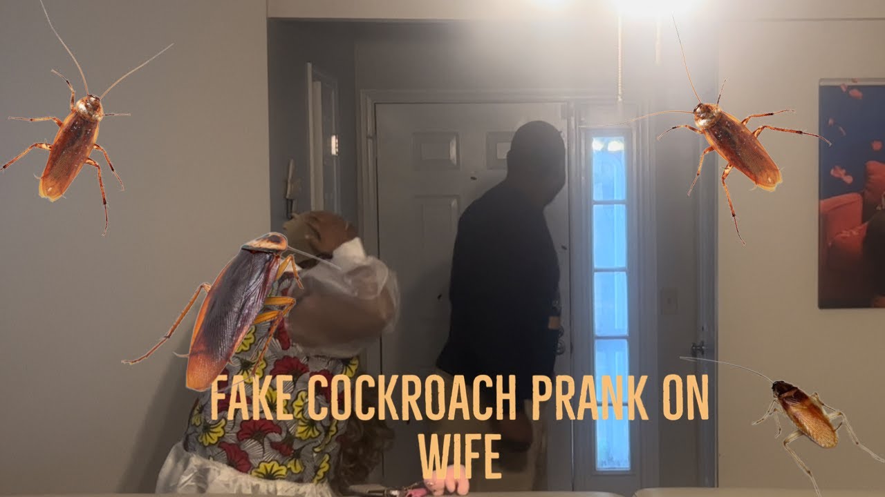 Fake CockRoach Prank On Wife - YouTube