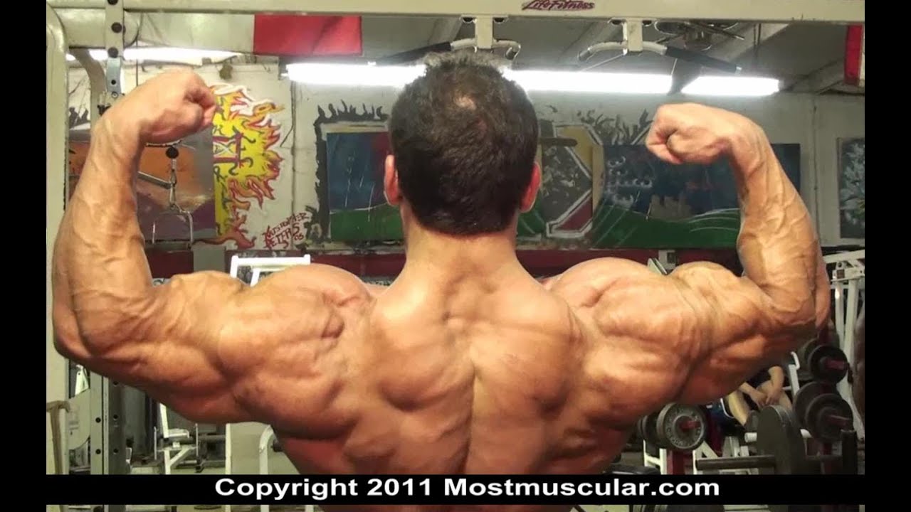 Bodybuilder Armon Adibi at Metroflex Gym training & posing back for NPC ...