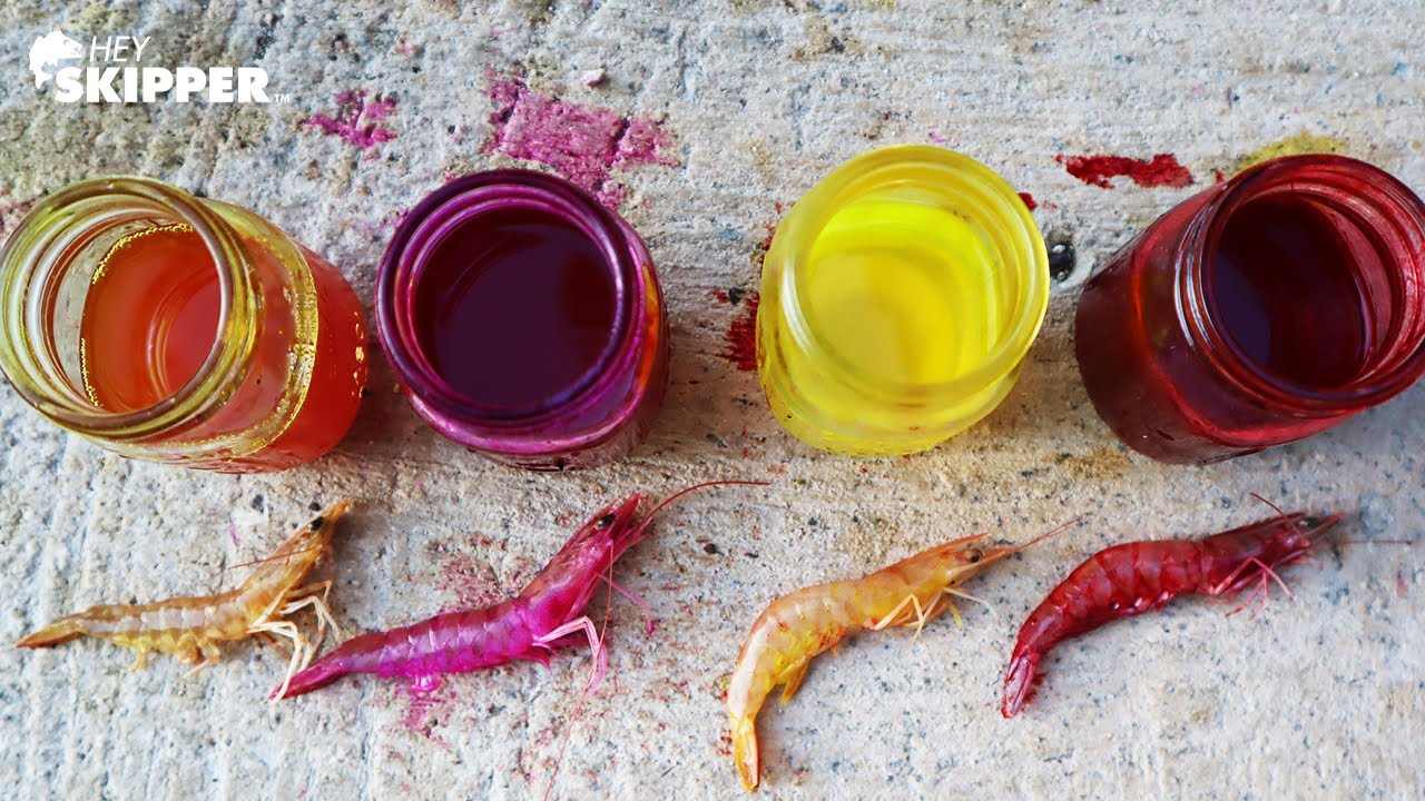 Making NEON LIVE SHRIMP! Best Bait?? (Fishing Experiment) - YouTube