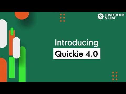 Quickie app for Zendesk: includes Advanced Search! - YouTube
