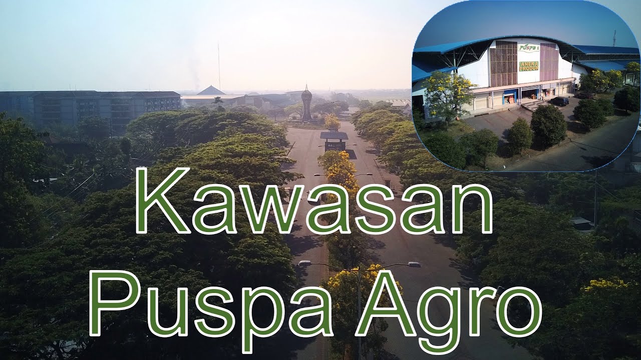 Kawasan Puspa Agro (Pusat Perdagangan Agro) - YouTube