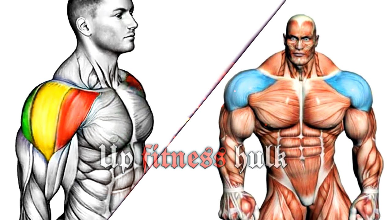 All sholdar workout Build your shoulder Best sholdar exercise # ...