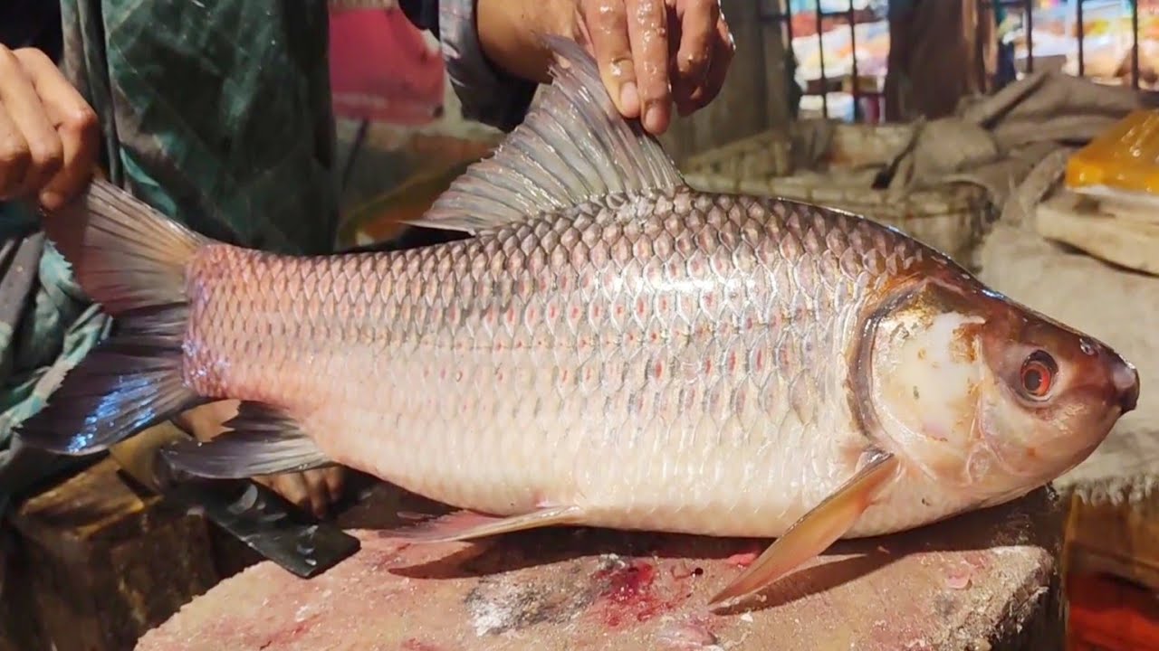 Amazing Big Rohu Fish Cutting Skills | Fish Cutting Expert - YouTube