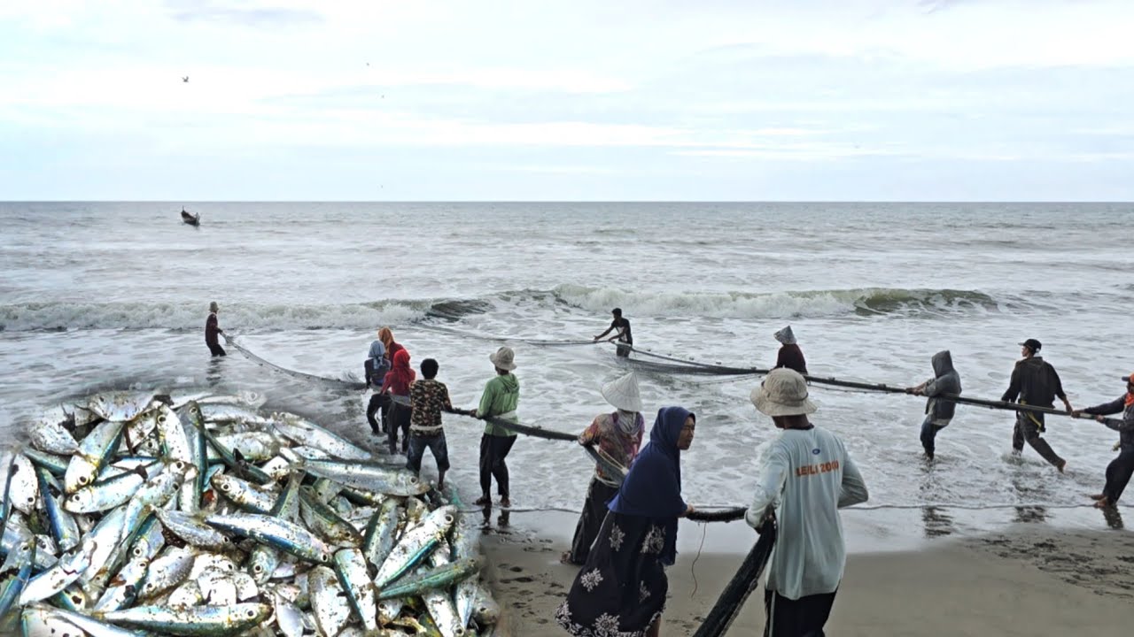 Beach Seine Net Fishing | Catching Plenty of Fish from the Shore - YouTube