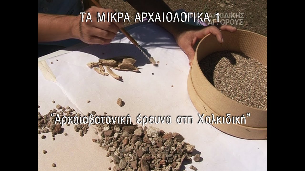 ΤΑ ΜΙΚΡΑ ΑΡΧΑΙΟΛΟΓΙΚΑ 1. "ΑΡΧΑΙΟΒΟΤΑΝΙΚΗ ΕΡΕΥΝΑ ΣΤΗ ΧΑΛΚΙΔΙΚΗ" - YouTube