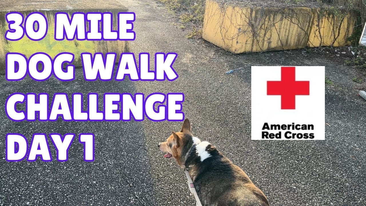 American Red Cross 30 Mile Walk Challenge Day 1 - YouTube