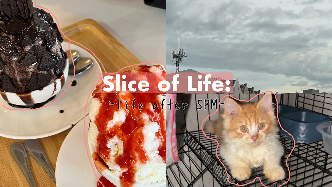 Slice of Life: Life After SPM - YouTube