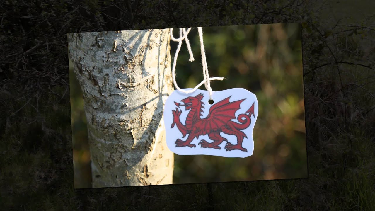 Llanelli Ramblers Big Welsh Family Walk (Monday) - YouTube