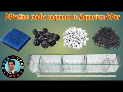 #356. Filtration media sequence in Aquarium filter (in Hindi) - YouTube