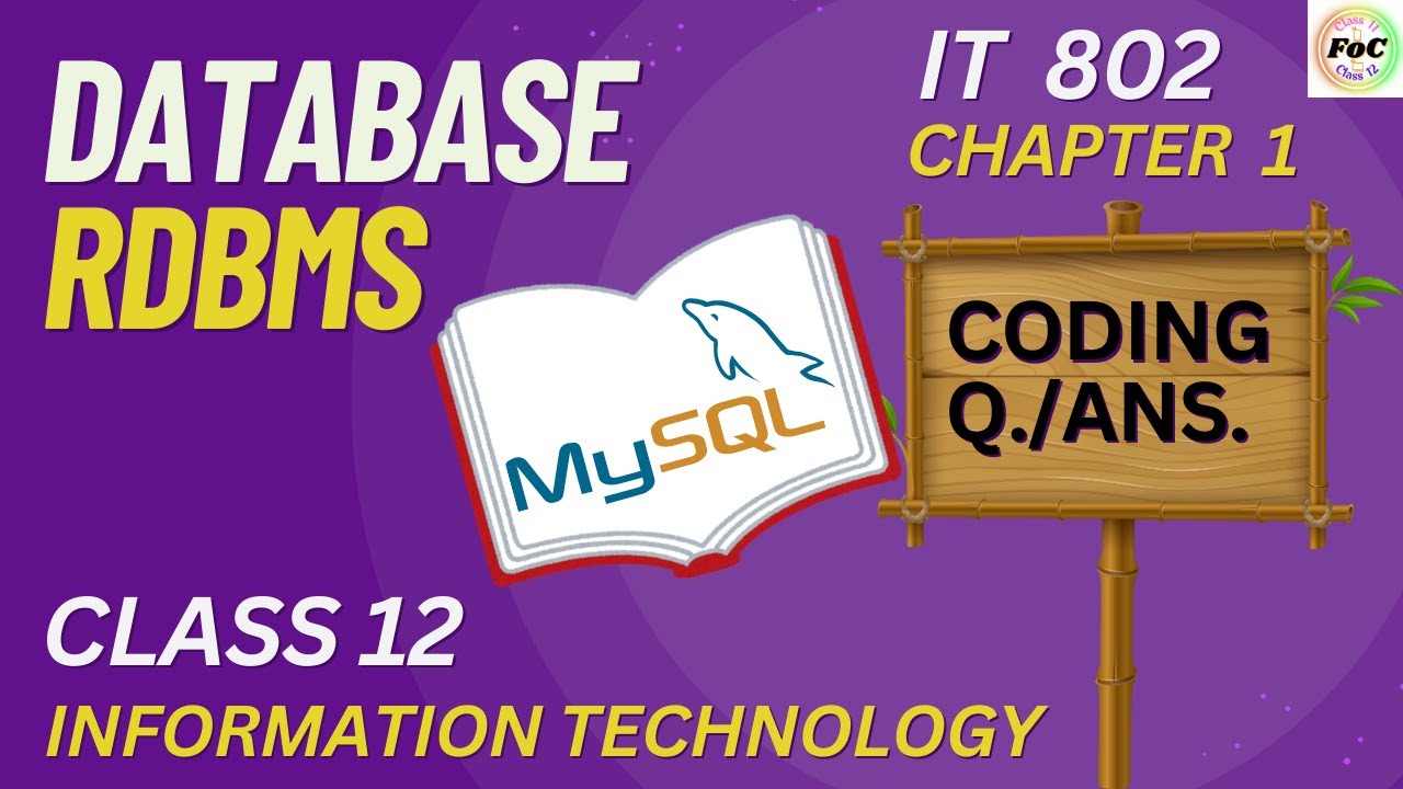 Coding Question Class 12 It Database Rdbms Sql Queries Information