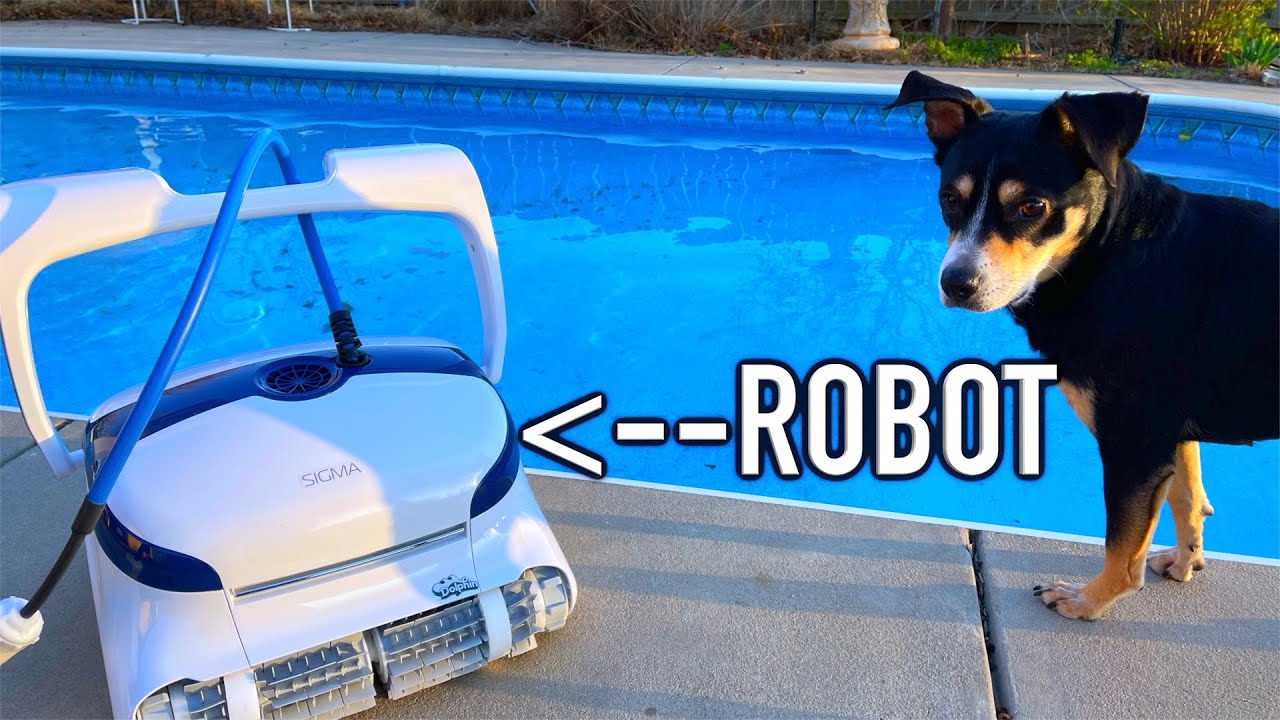NO BS Review Dolphin Sigma Robot Pool Cleaner! - YouTube
