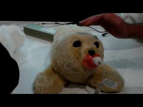 PARO: Therapeutic Robots - YouTube