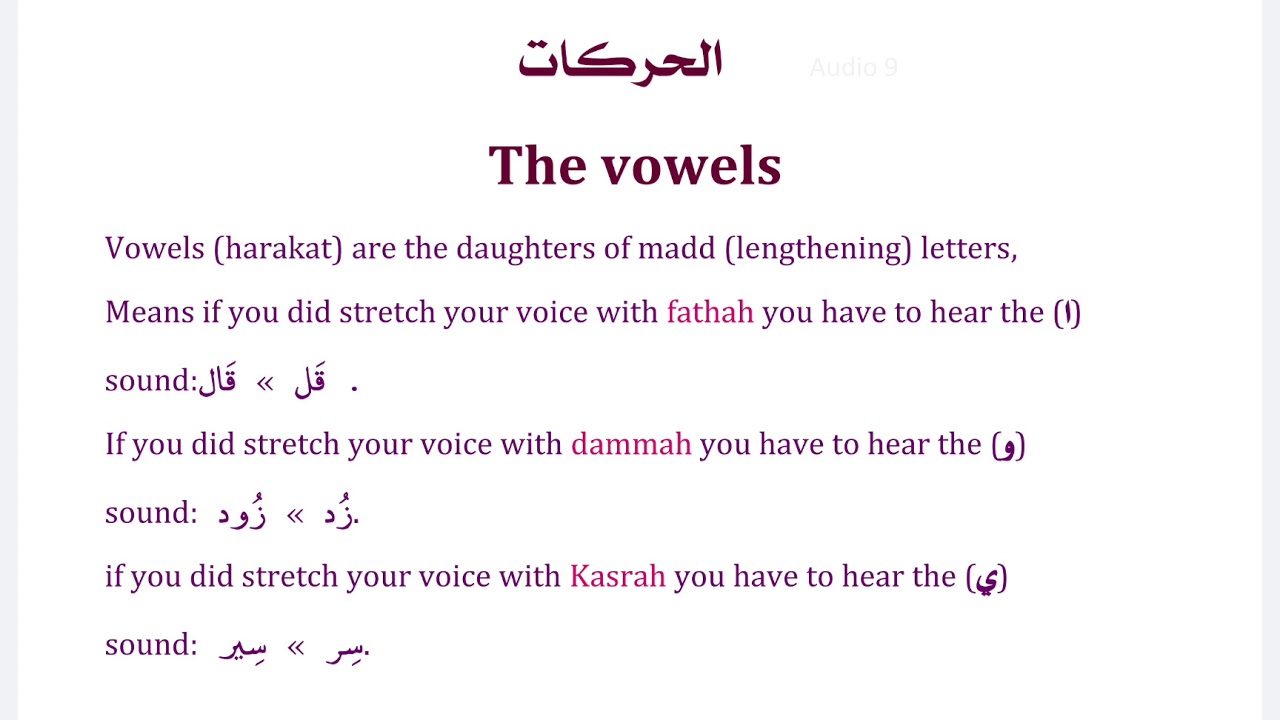 Magnificence - Quran elegance (12. The Harakat) for beginners - YouTube