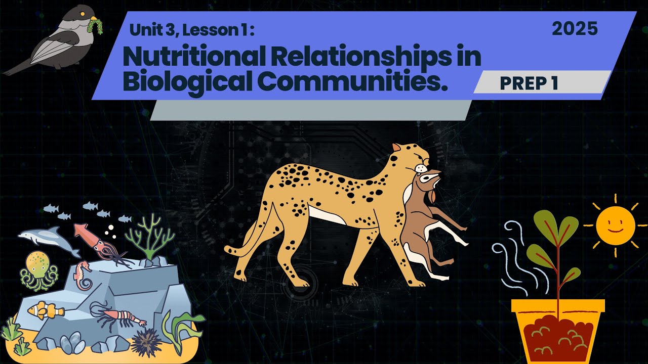 Science Prep 1 : Unit 2: Lesson 2 : Nutritional Relationships in ...