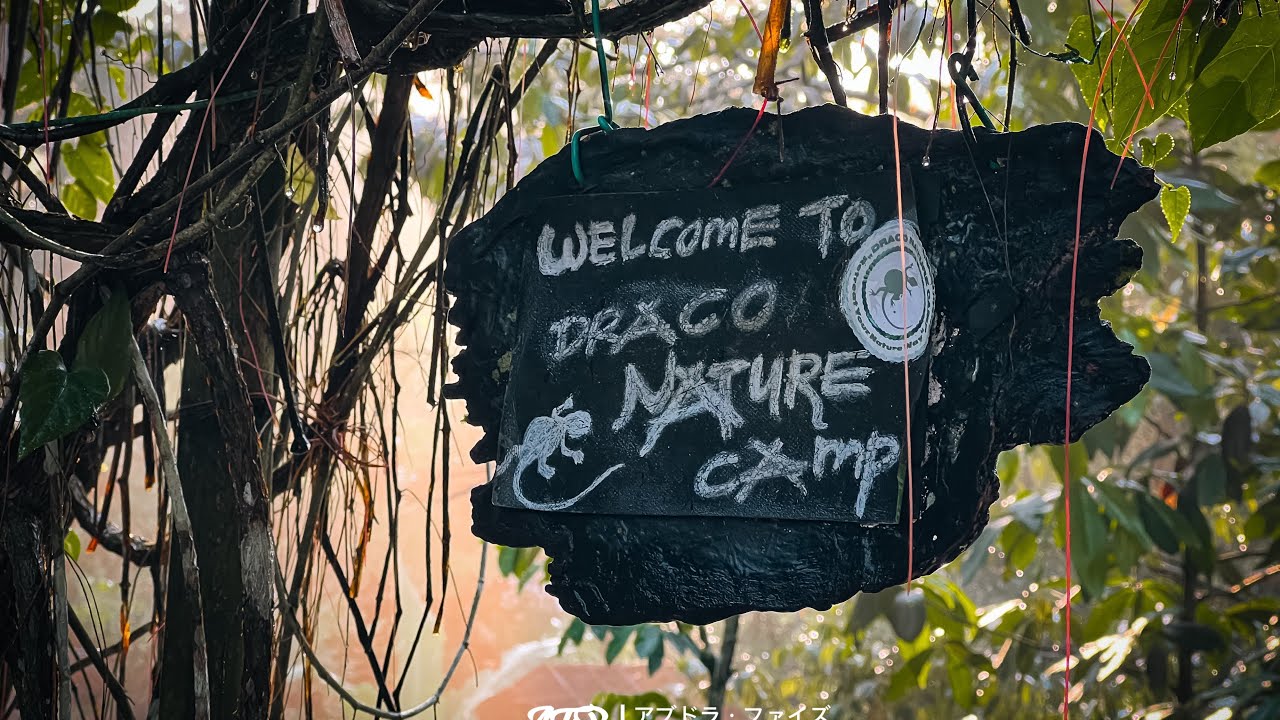 Terpaling Nature | Draco Nature camp | Chenderiang | wajib Datang - YouTube