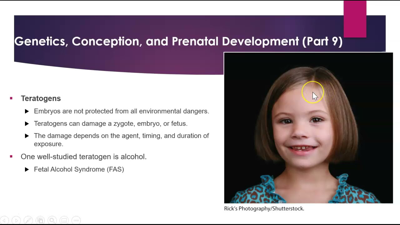 Chapter 9- Human Development - YouTube