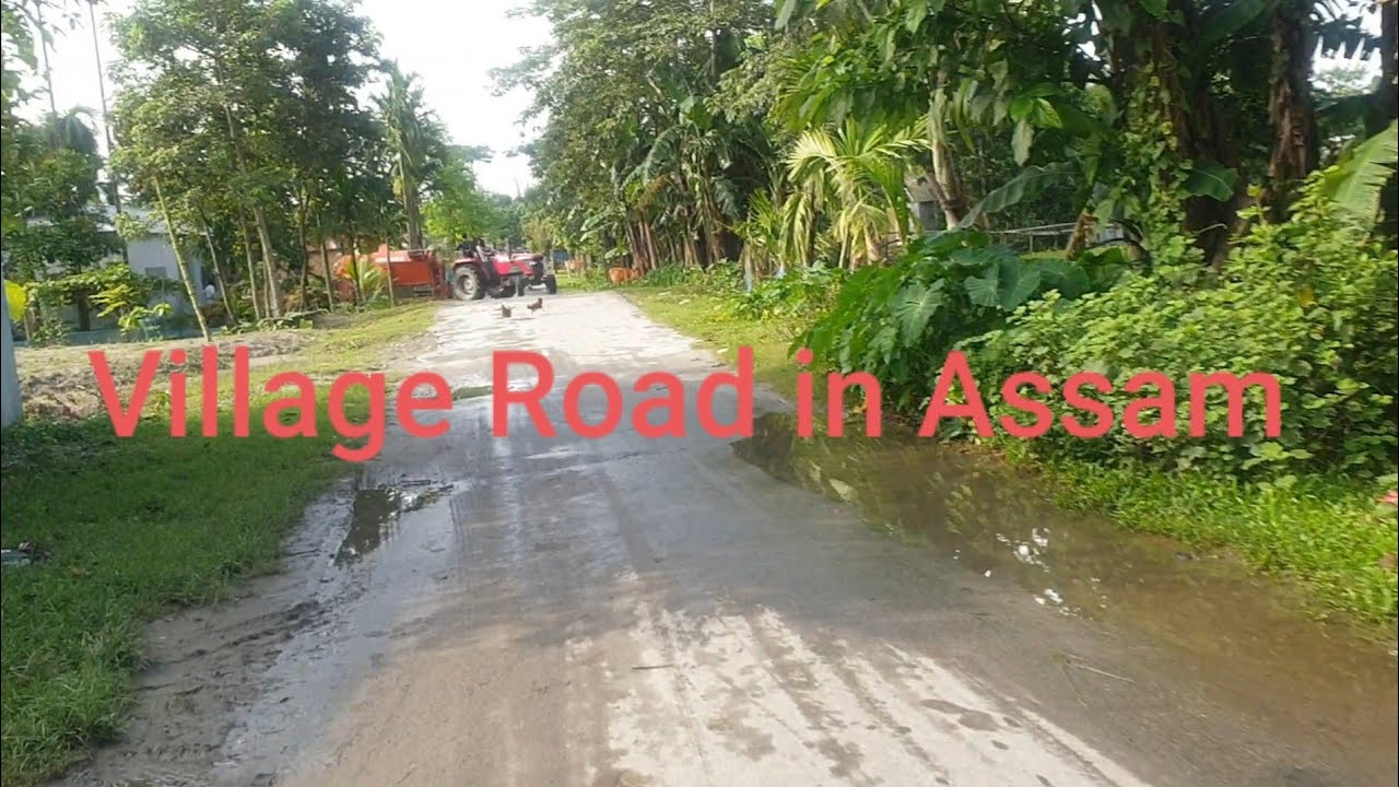village road in assam - YouTube