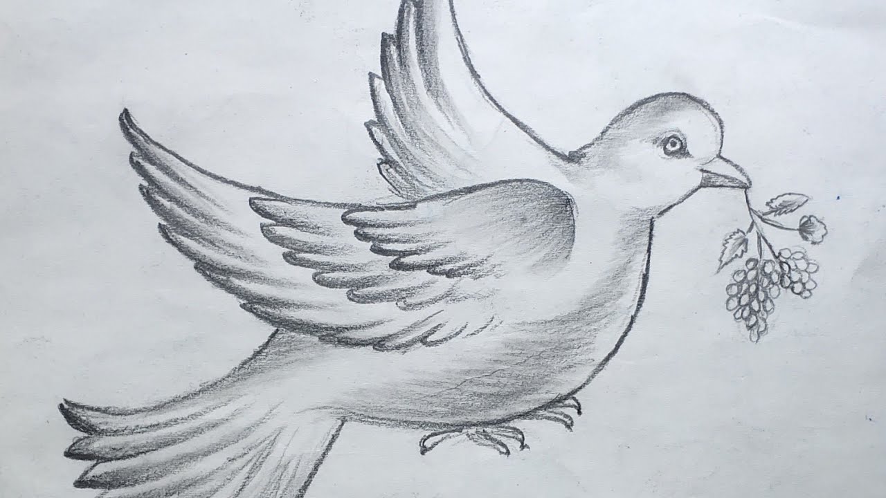 how to draw a bird with simple shading - YouTube