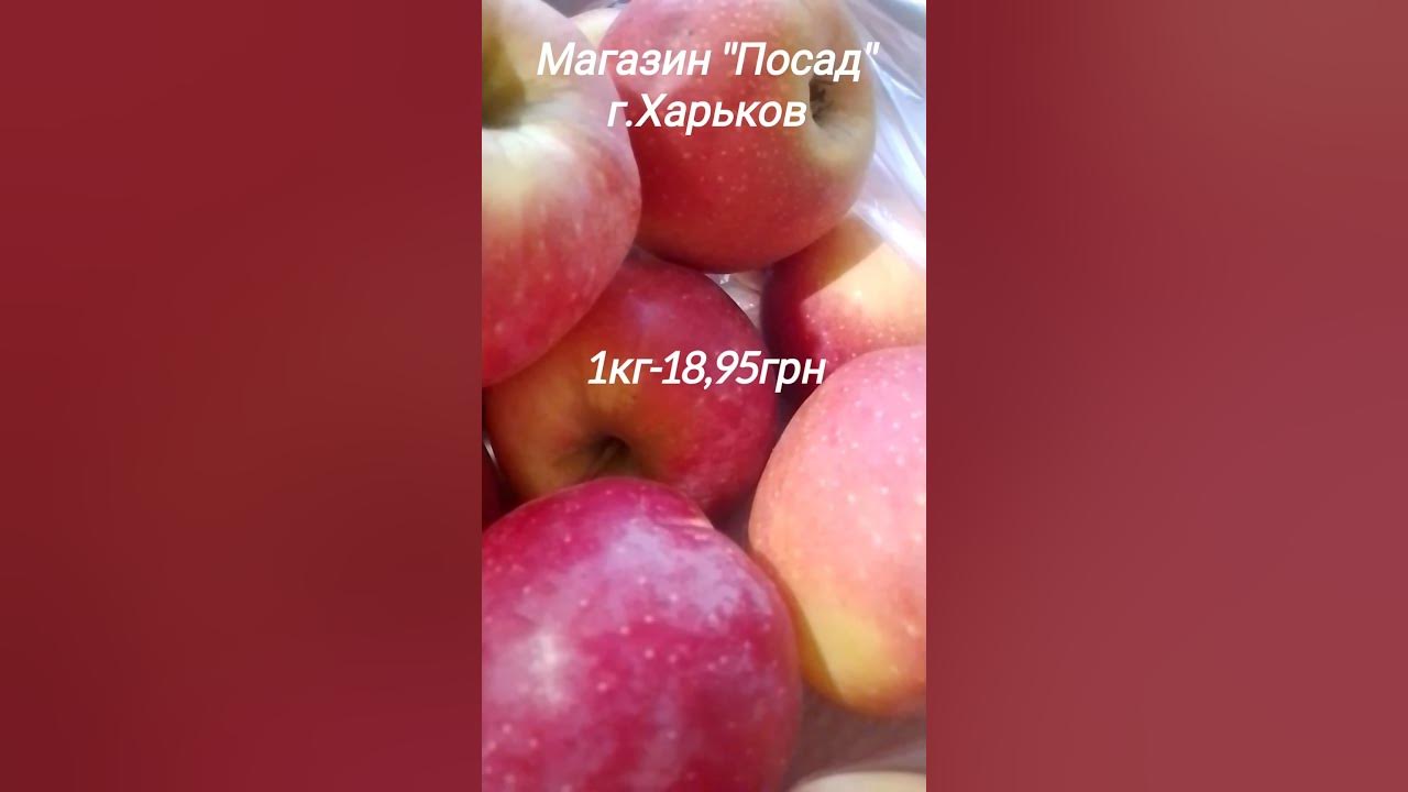 Цена на яблочки 🍎🍏🍎 яблоки фрукты ценывукраине ценынапродукты Youtube