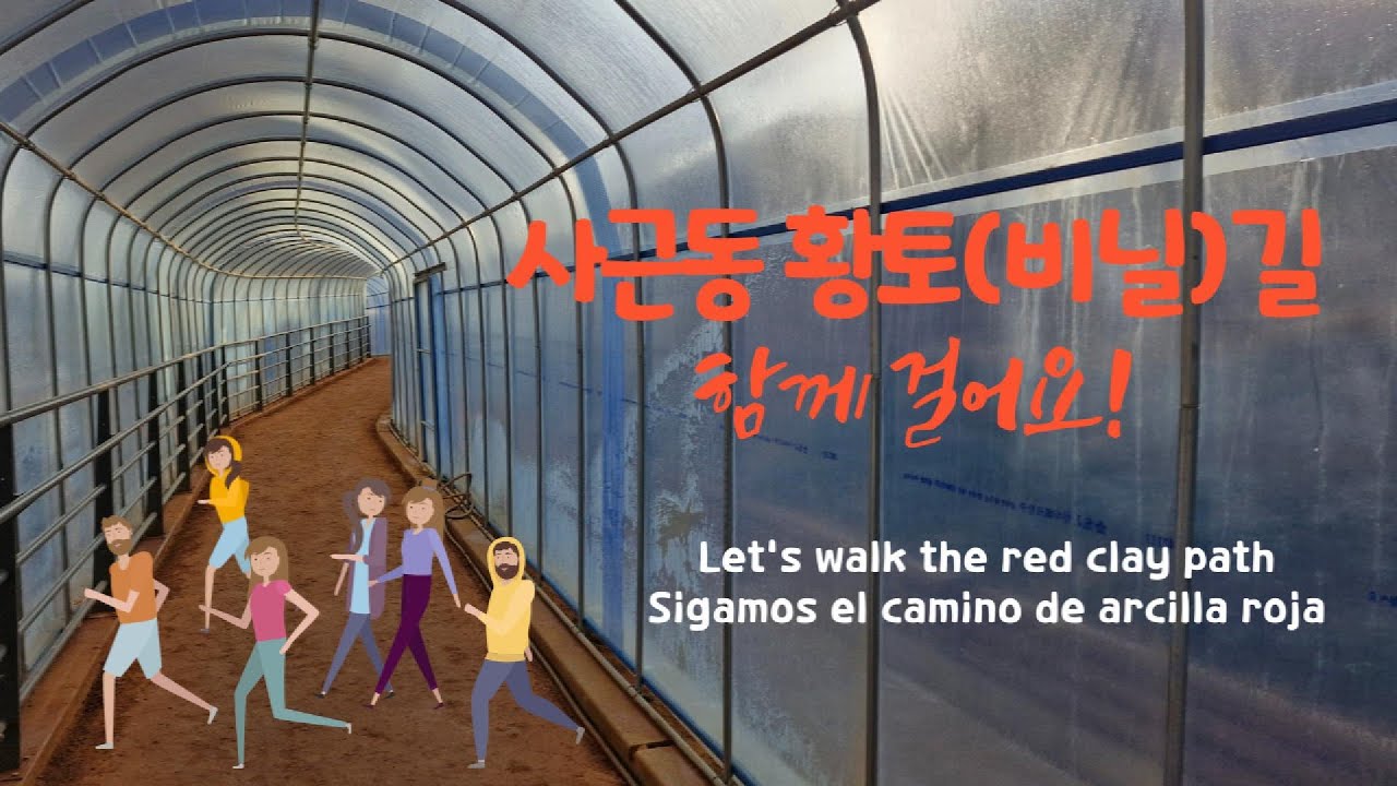 사근동황톳(비닐)길 함께 걸어요/Let's walk the red clay path/Sigamos el camino de ...