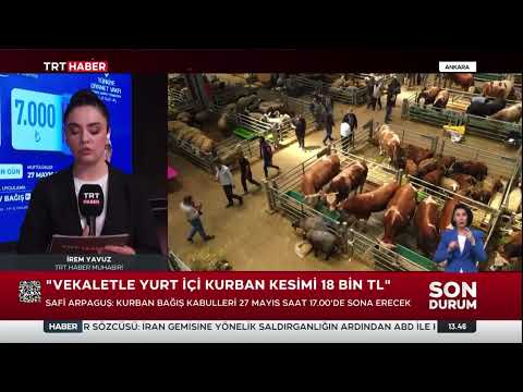 Türkiye Diyanet Vakfı vekaletle kurban kesim bedeli açıklandı
