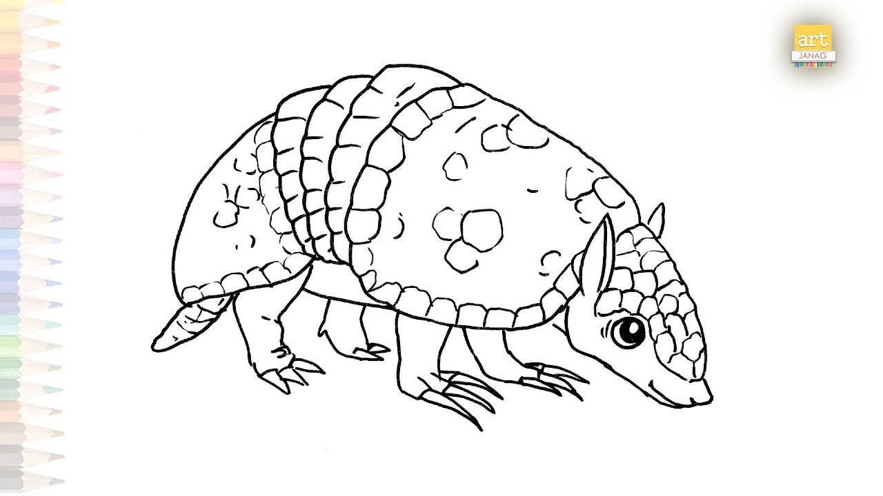 Armadillo drawings | Mammals drawings | How to draw Armadillos step by ...