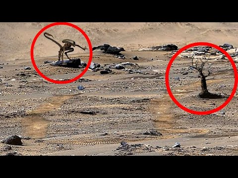 Perseverance Mars Rover Released Mars New Images || Mars Latest Images ...