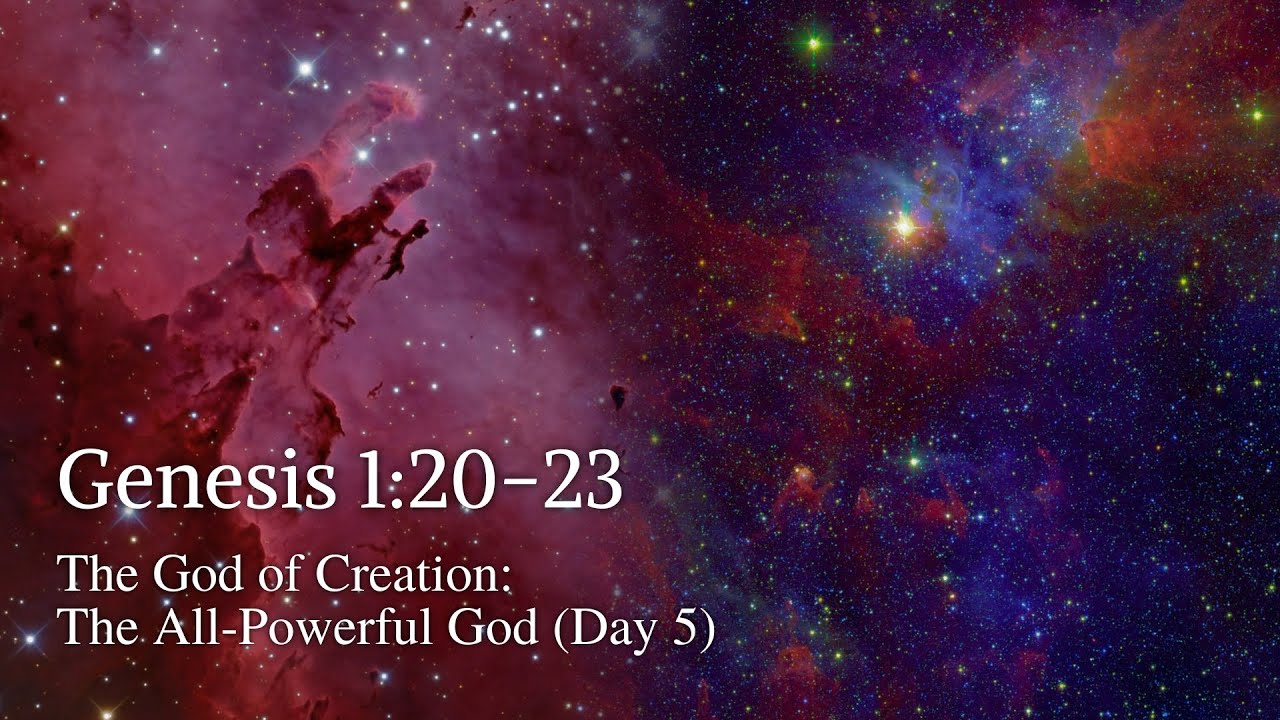 Genesis 1:20-23 | The God of Creation: The All-Powerful God (Day 5 ...