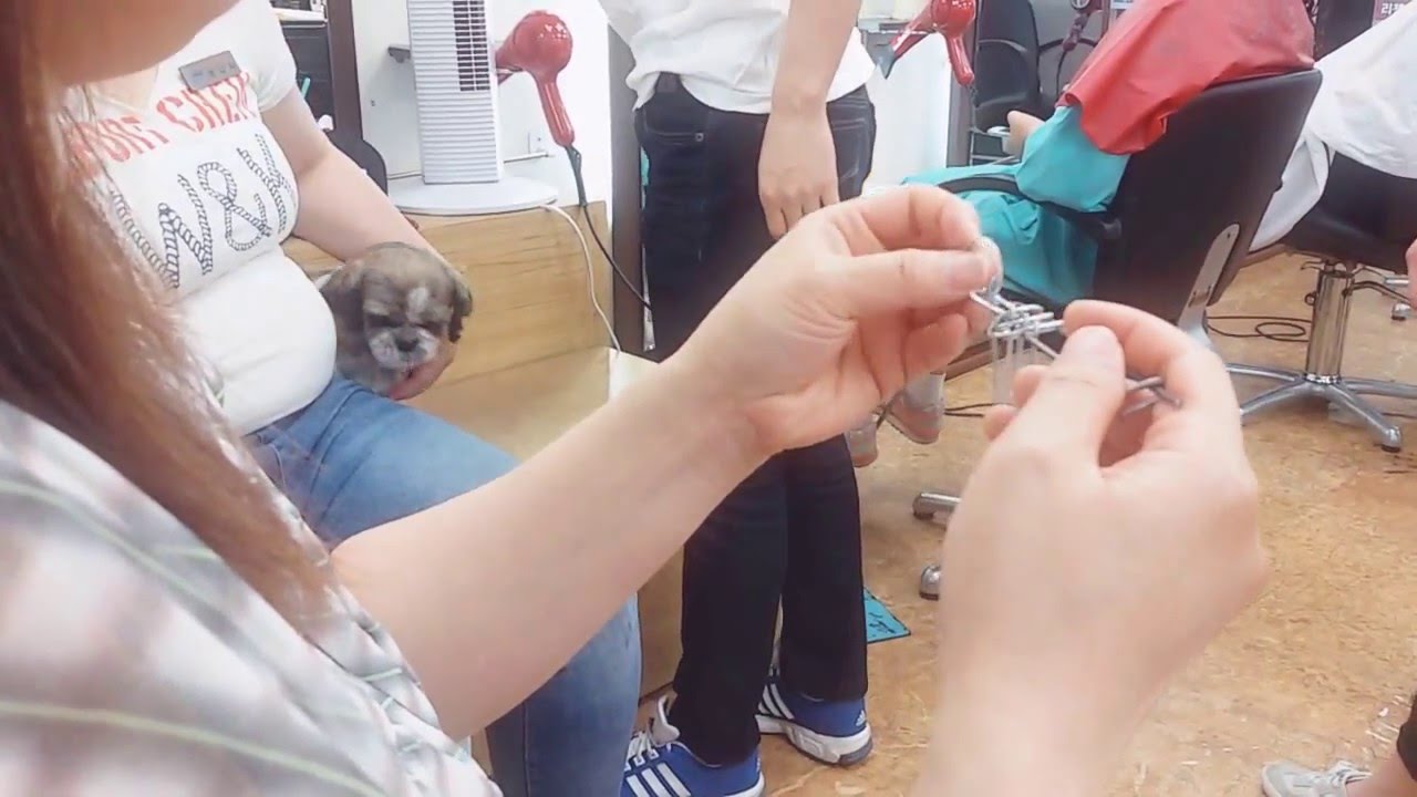 Монгол түлхүүр оньсон тоглоом Солонгос хүн тоглож үзэв. - YouTube