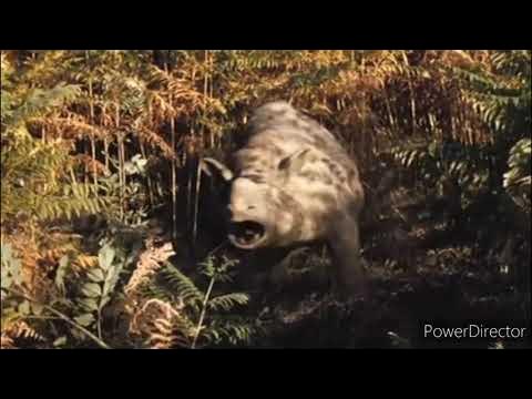 primeval - primera escena del embolotherium - YouTube