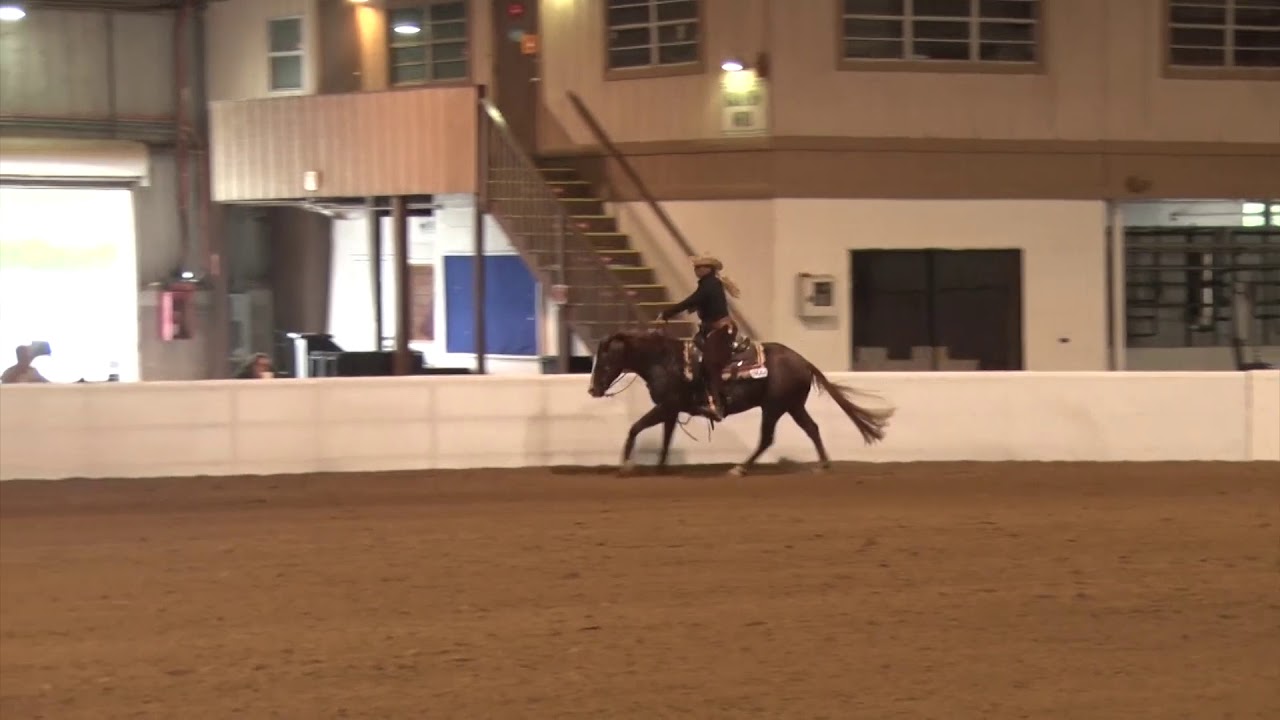 190505 Novice Horse Alicia Rapp on Loaded And Dancin - YouTube