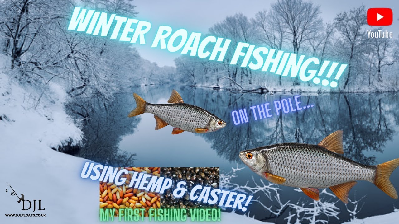 ROACH Fishing... WINTER Roach on the Pole using Elder-Pith pole floats ...