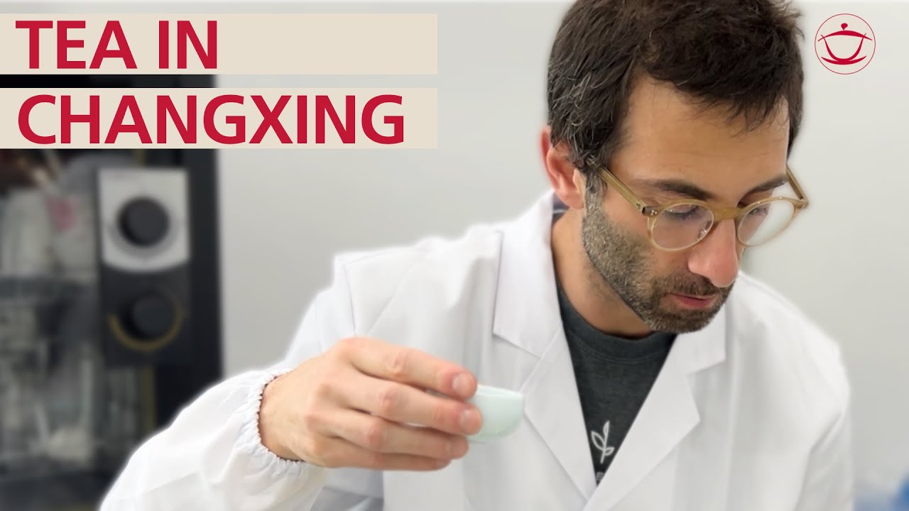 White, Green, and Black Tea Tasting in Changxing, Zhejiang - YouTube