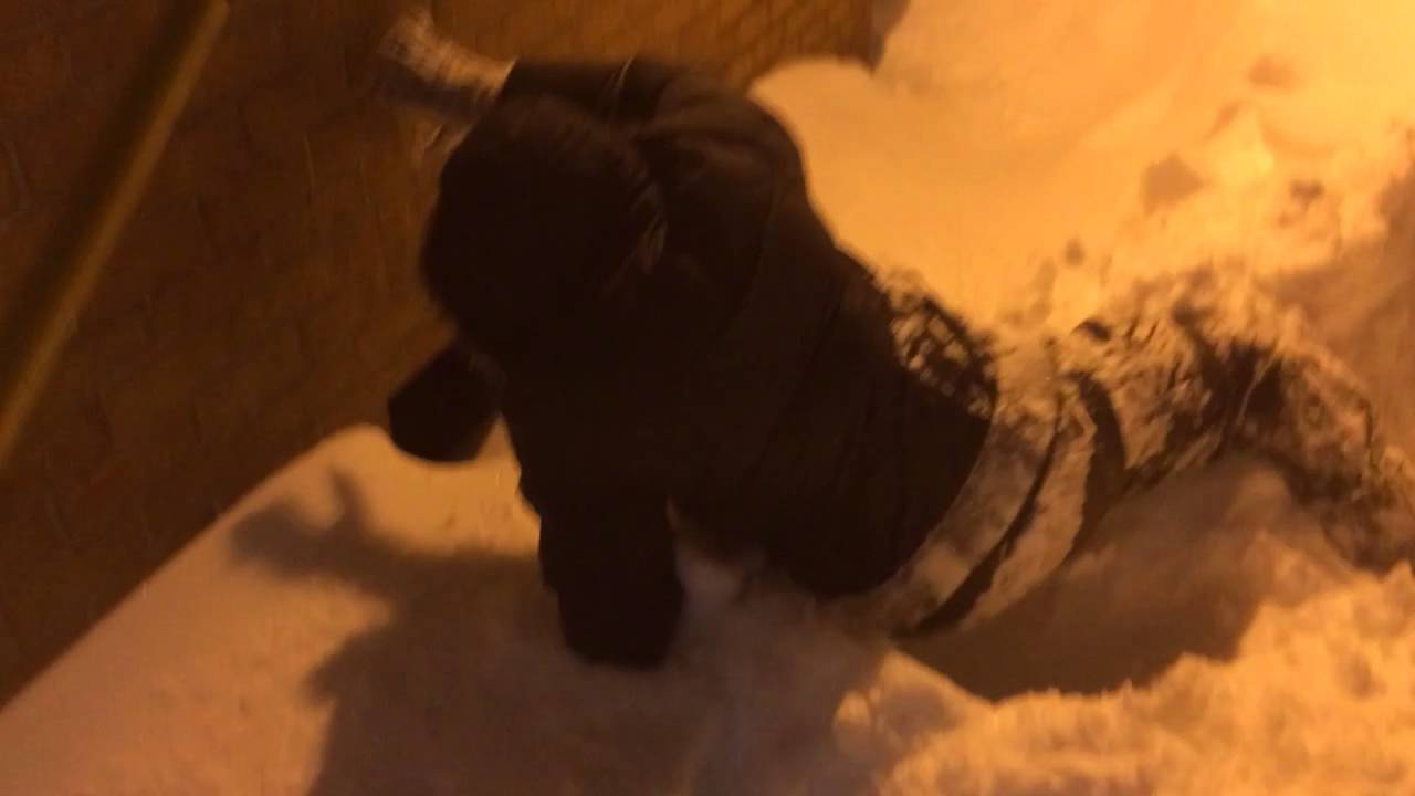 Falling in the snow during winter storm Jonas - YouTube