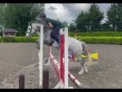 Mountross Heidi (Grey Mare 2020)