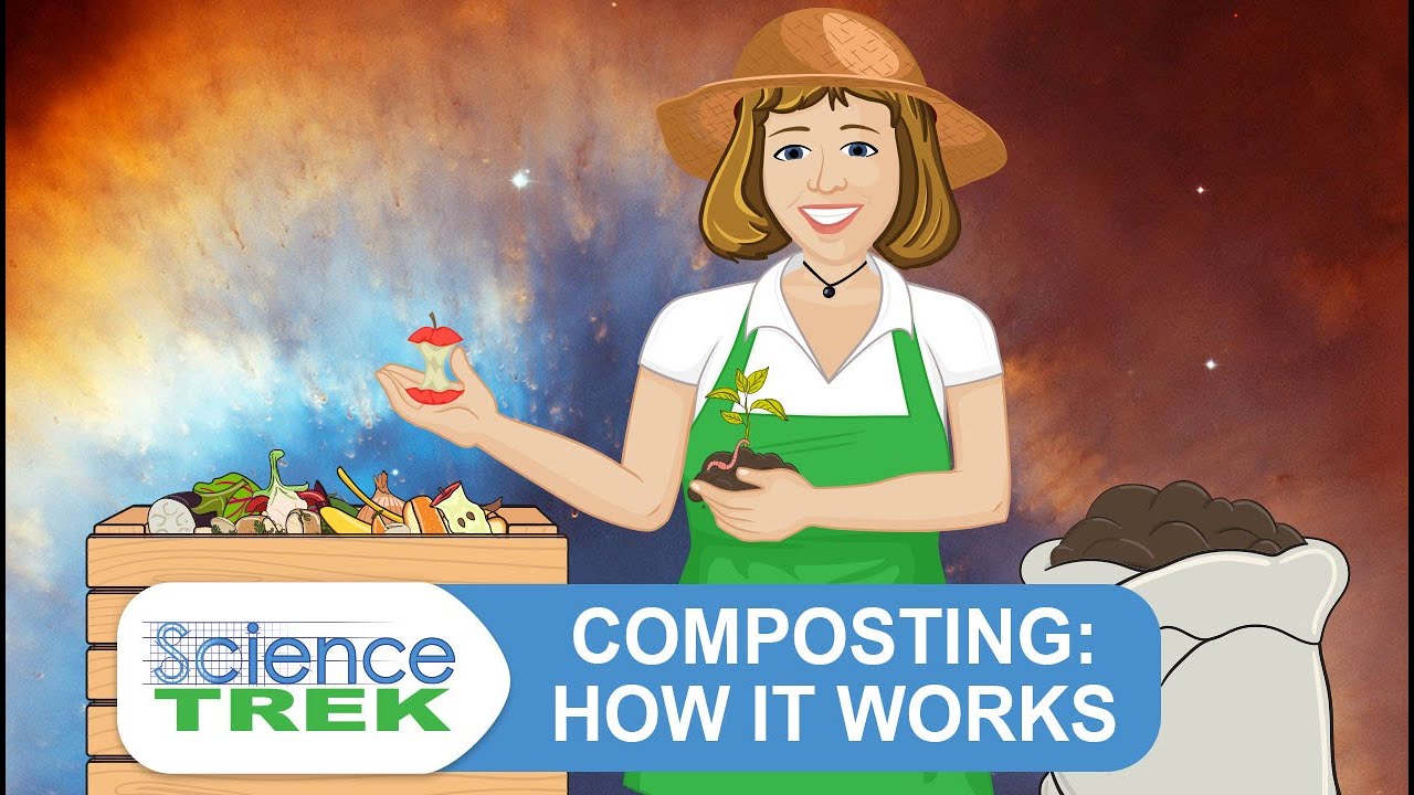 Composting: How It Works | Science Trek - YouTube