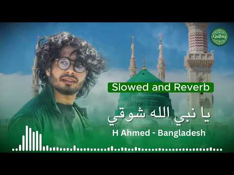 Ya Nabi Allah Shawqi ❤️ Emotional Arabic Nasheed