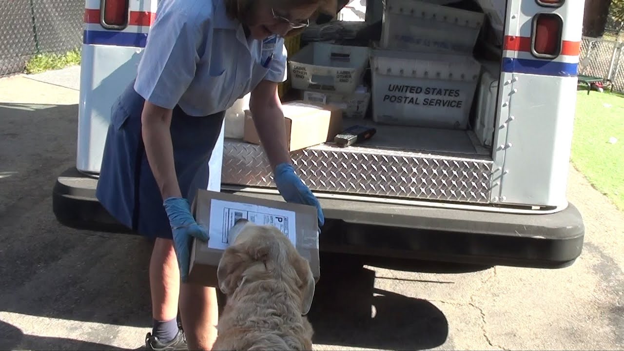 A new post office employee... and it's a dog! - YouTube