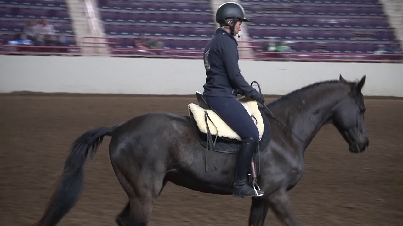 Bridleless Riding: Developing posture and balance. Brendan Wise ...