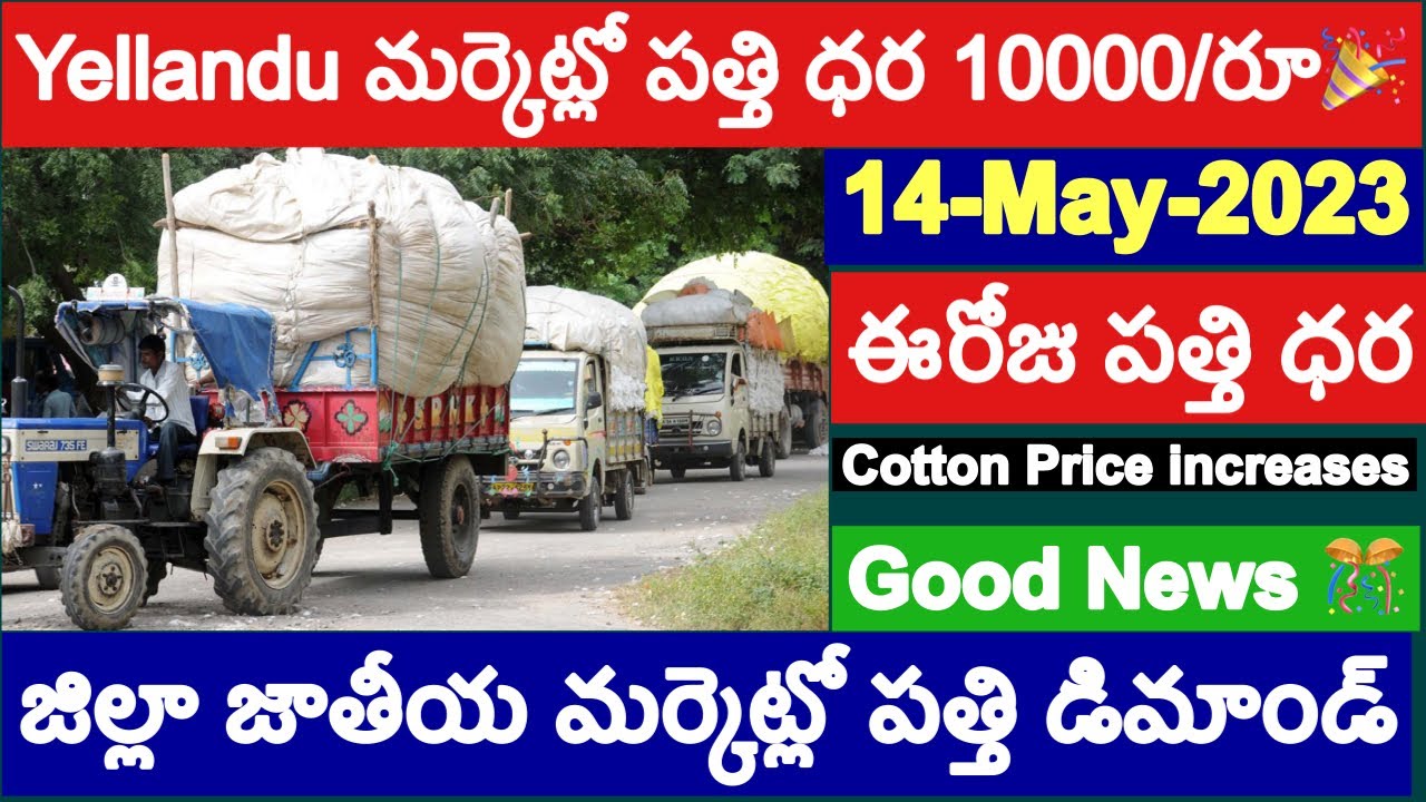 14-05-2023 today cotton price Yellandu/today cotton price telangana ...