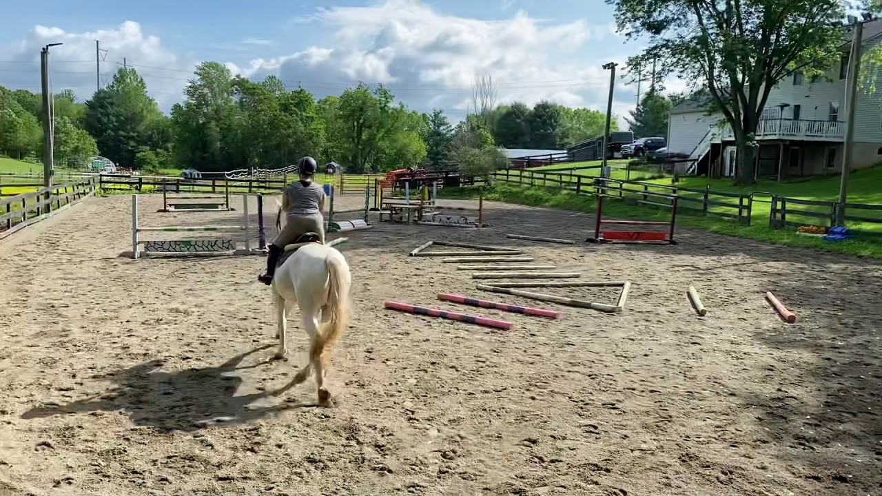 Megan Coppage on Performing Art - Over fences 2'6 - YouTube