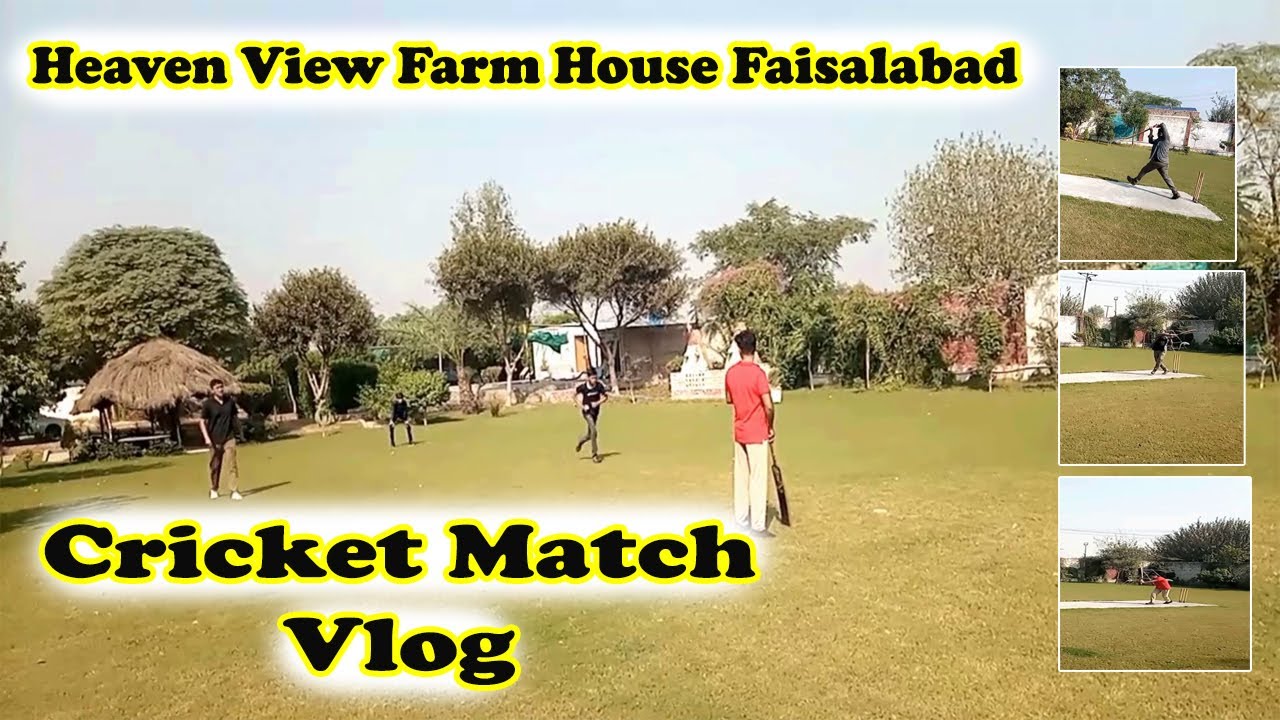 Cricket Match Vlog I Heaven View Farm House Faisalabad I Faisalabad ...