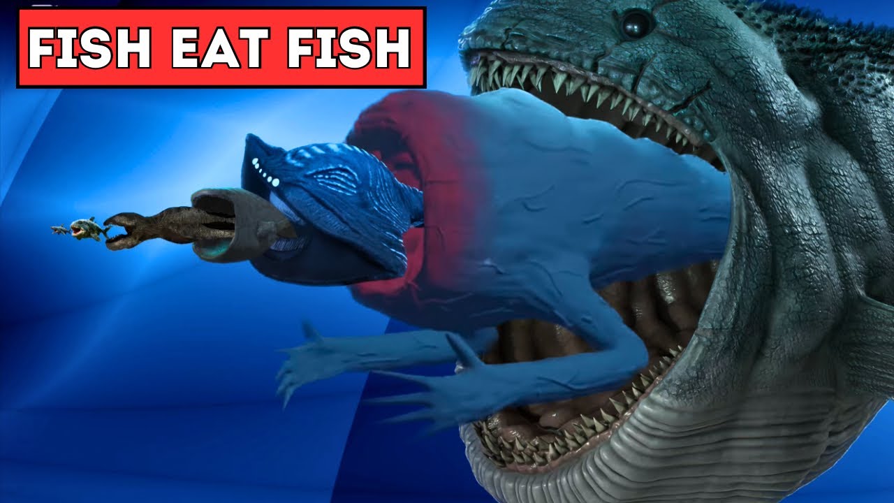 Fish Eat Fish | Sea Monsters Animation | Ultimate Size Comparison! 🌊🐟⚔️ ...