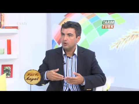 2'den 4'e hayat - 10-09-2012 ESRA YILDIZ HÜSEYİN ERDEM ŞİMŞEK