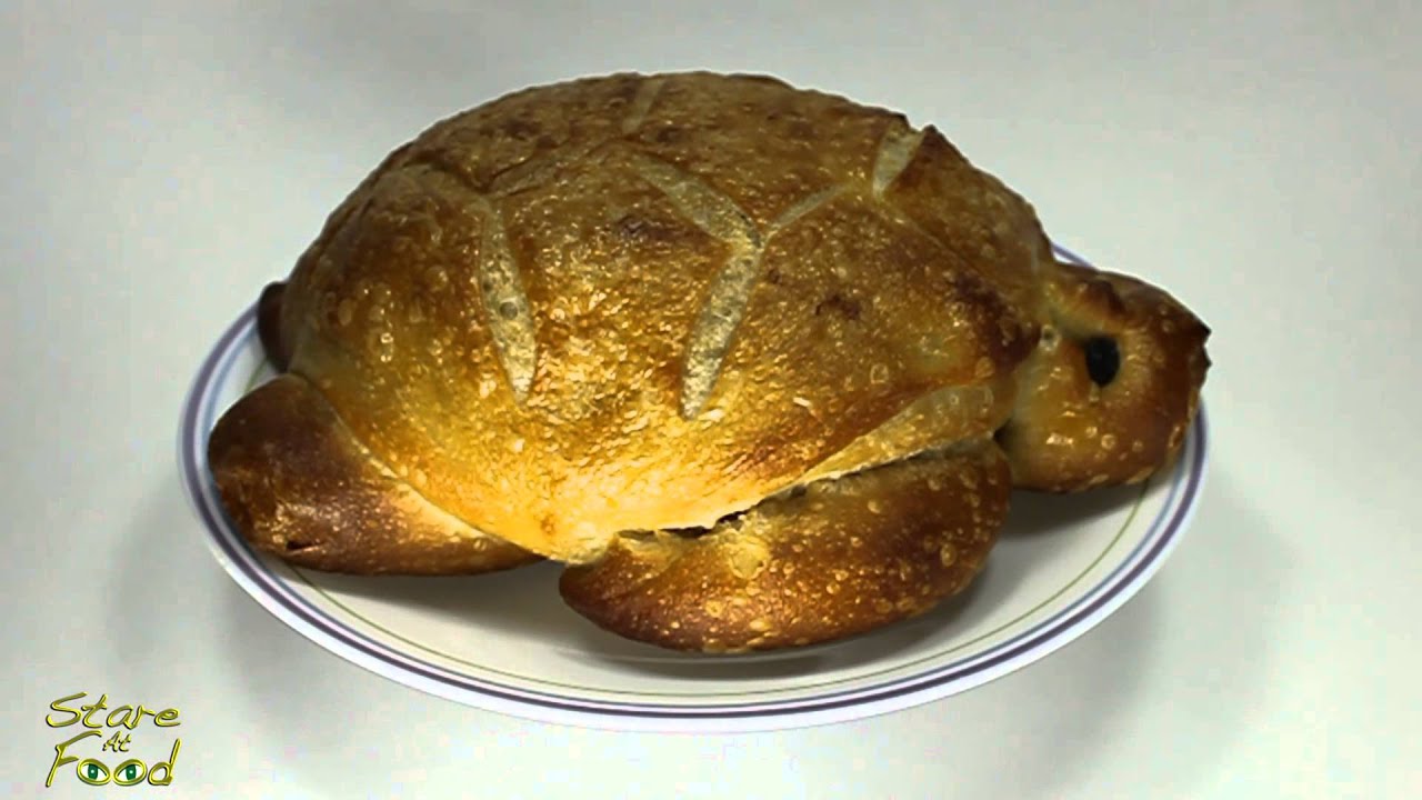 Stare At Food: Sourdough Turtle Bread (Rotating Version) - YouTube